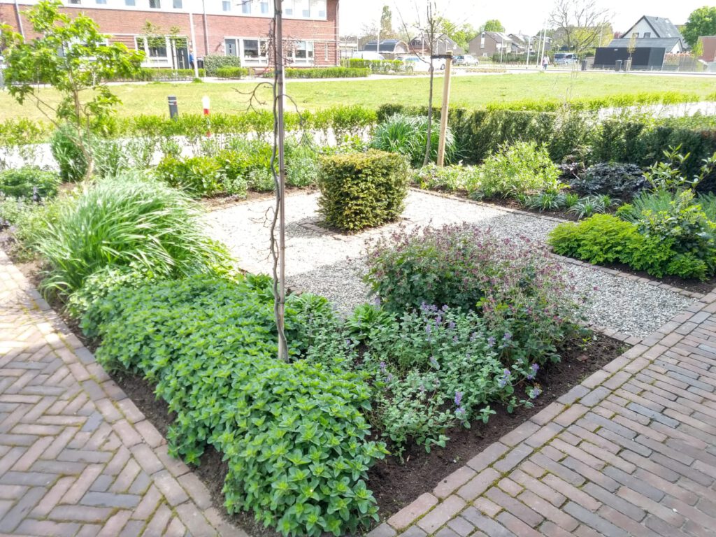 Beplanting - Starink Tuinwerk en Grondverzet